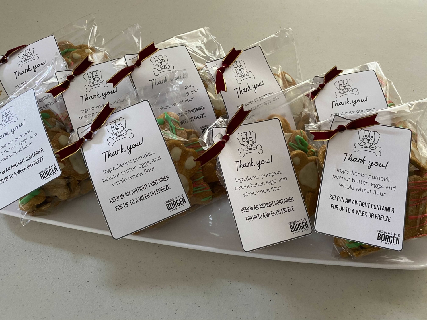 State of the Union January 2021 – Staff Intranet